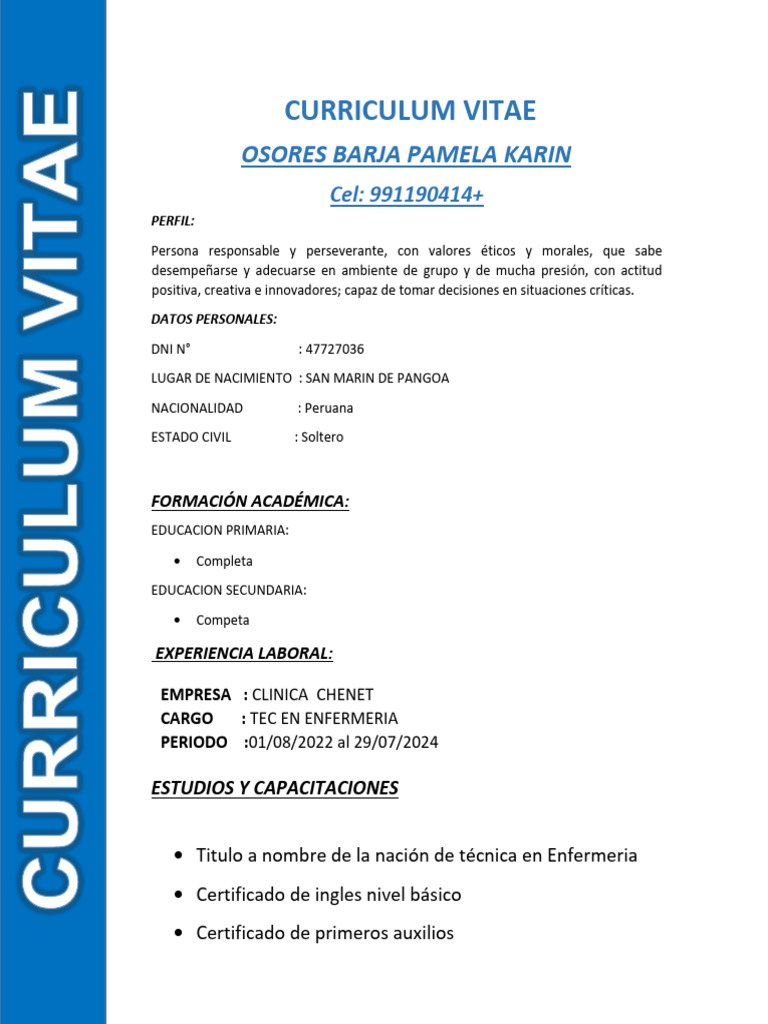 PDF 1 CV_merged | PDF