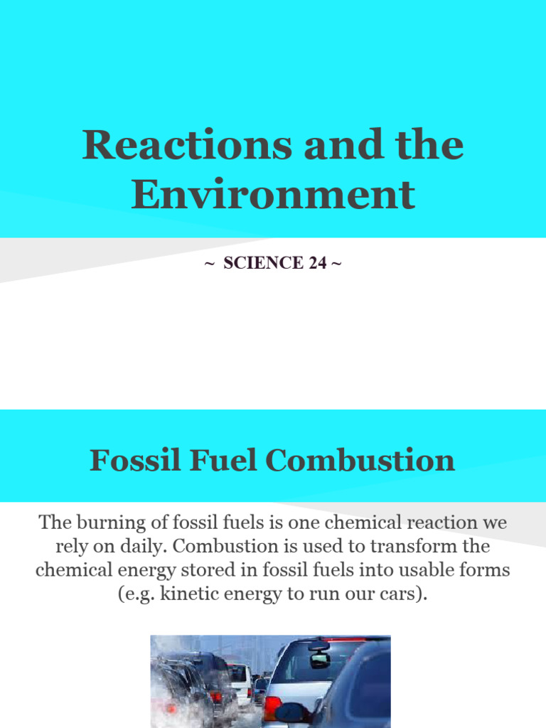 Reactions and The Environment | PDF | Climate Change | Combustion