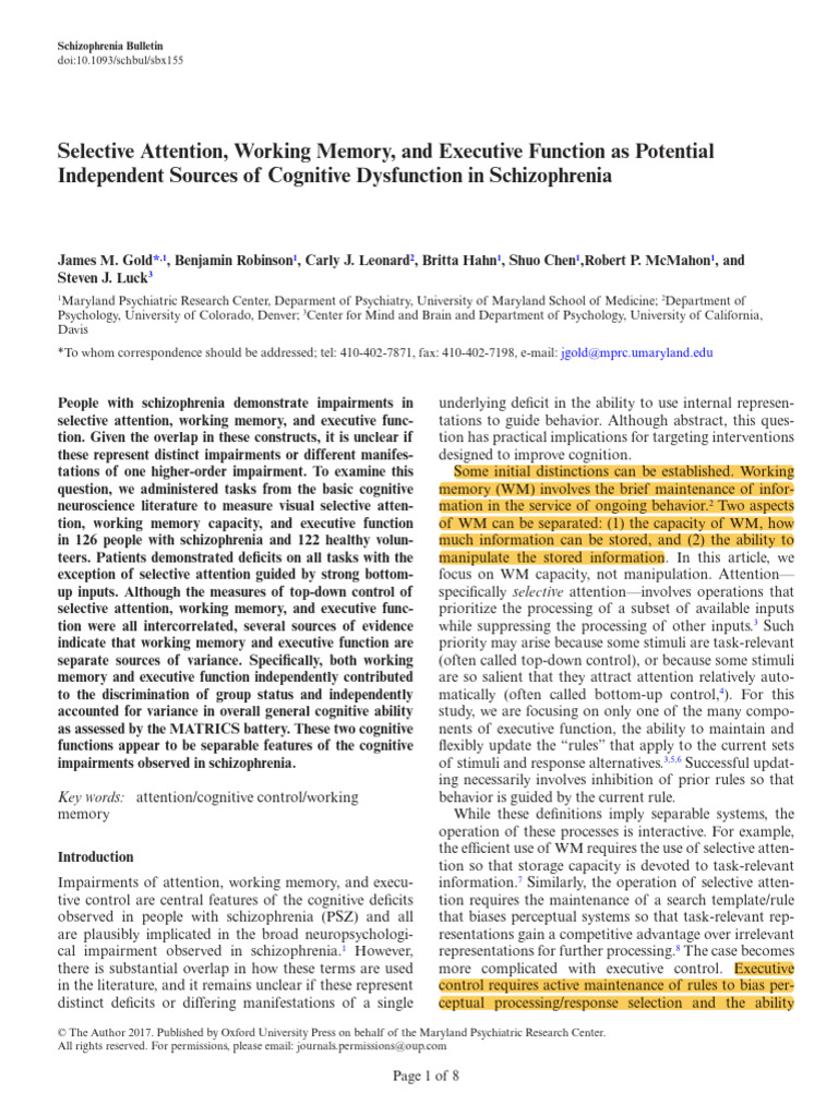 Working Memory | PDF