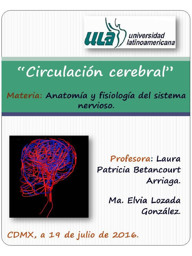 Lozada González S4 TI4 Circulación Cerebral | PDF