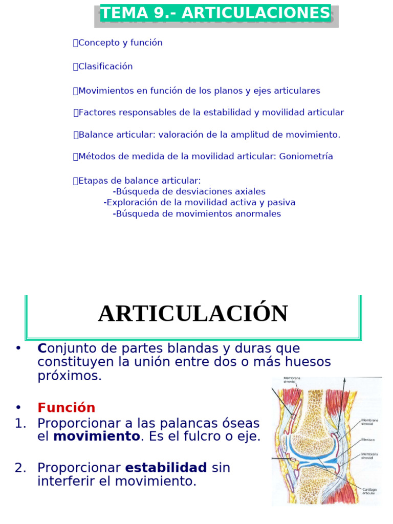 articulaciones | PDF