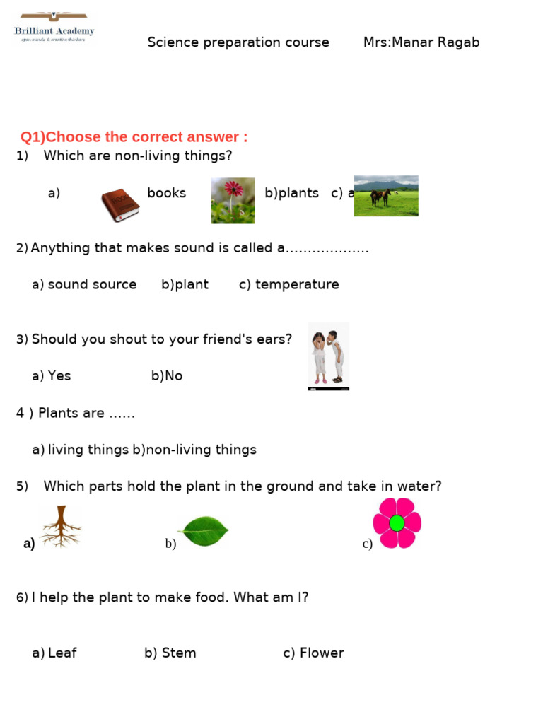 Science Year 1 EOTE | PDF