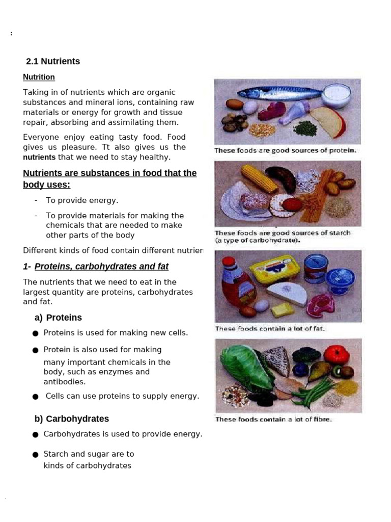 Grade 8 Block 1 Unit 2 Lesson 1 Sheets | PDF