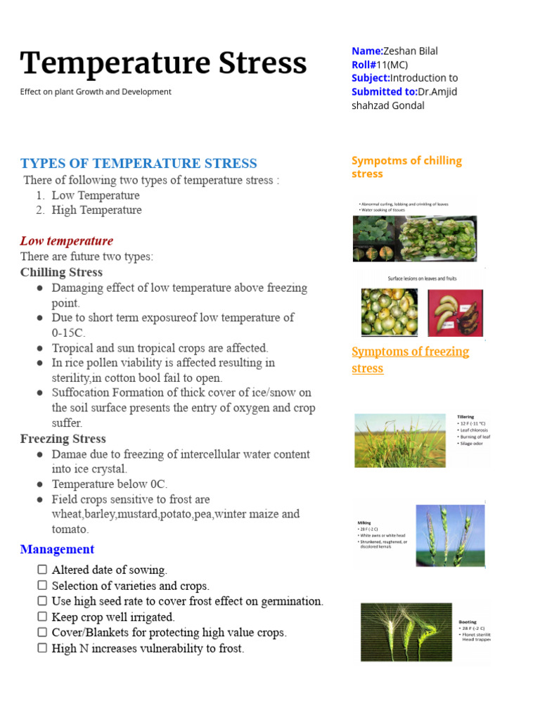 Temperature Stress | PDF