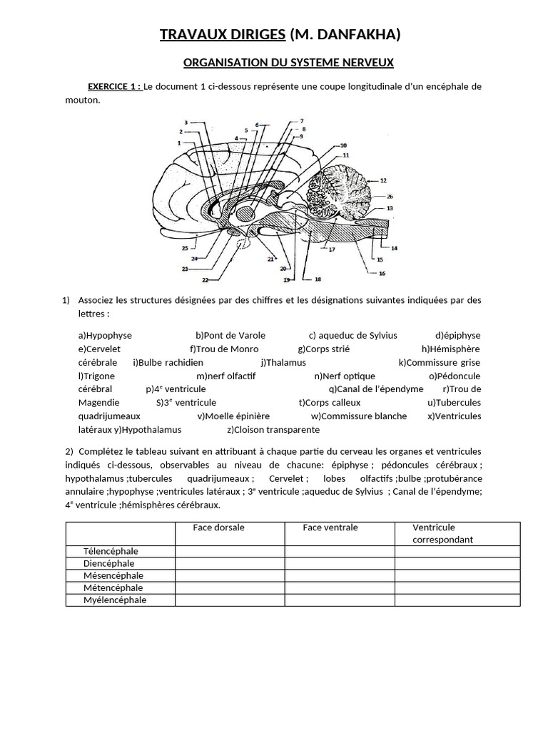 TRAVAUX DIRIGES ORGANISATION DU SYSTEME NERVEUX | PDF TRAVAUX DIRIGES ORGANISATION DU SYSTEME NERVEUX | PDF