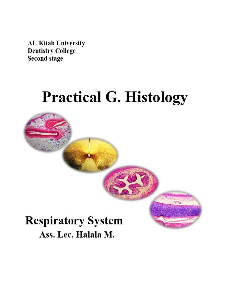 Histology Practical | PDF
