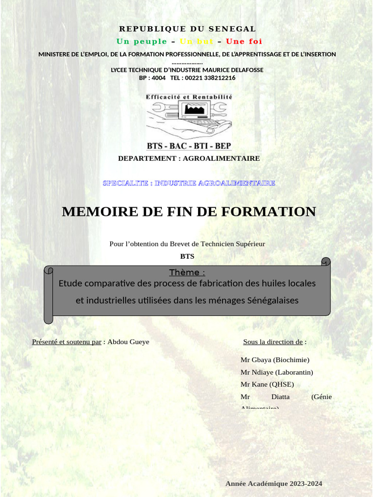 Mémoire de Fin D'étude | PDF