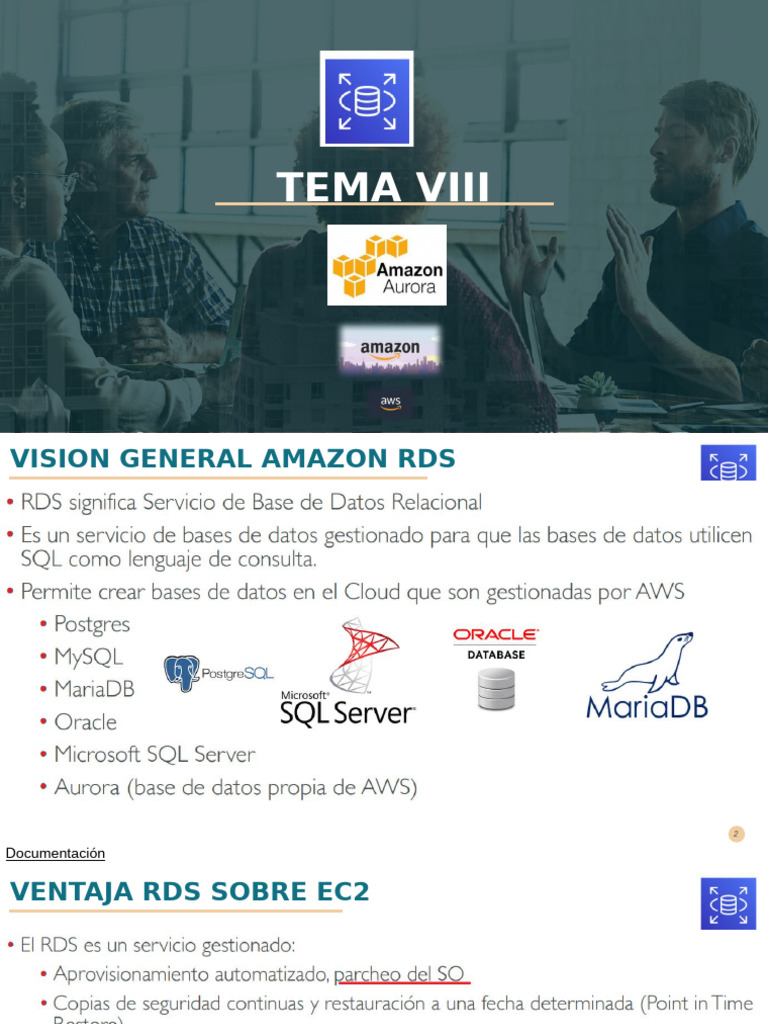 Tema Viii | PDF