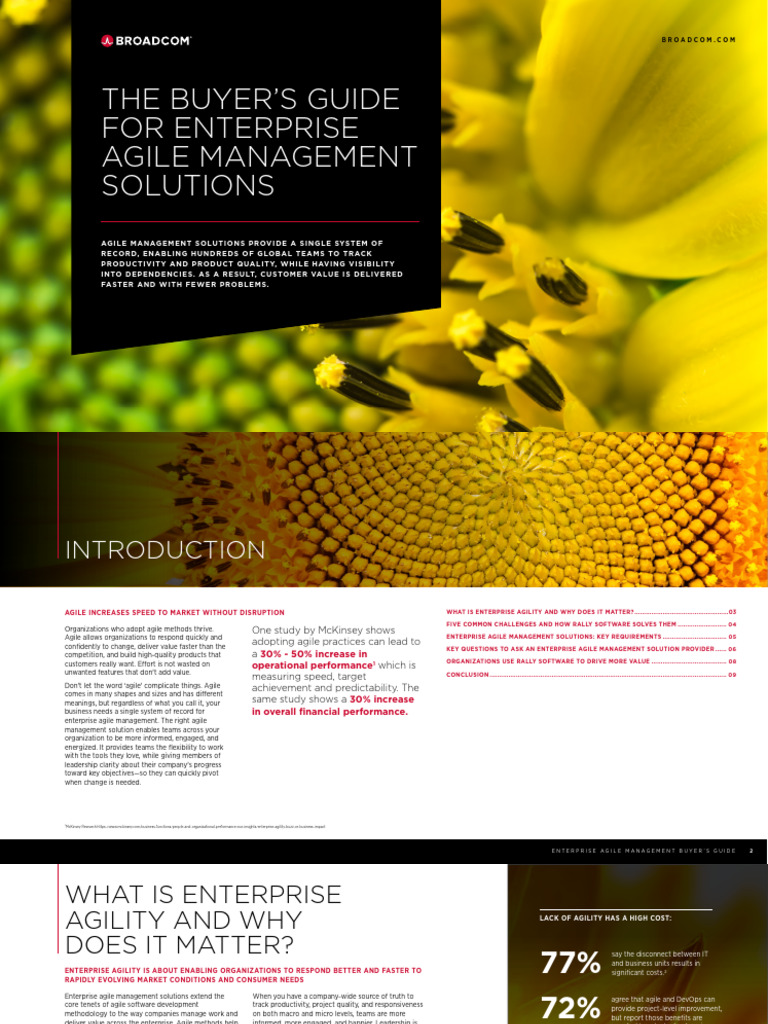 ENTERPRISE AGILE MANAGEMENT | PDF