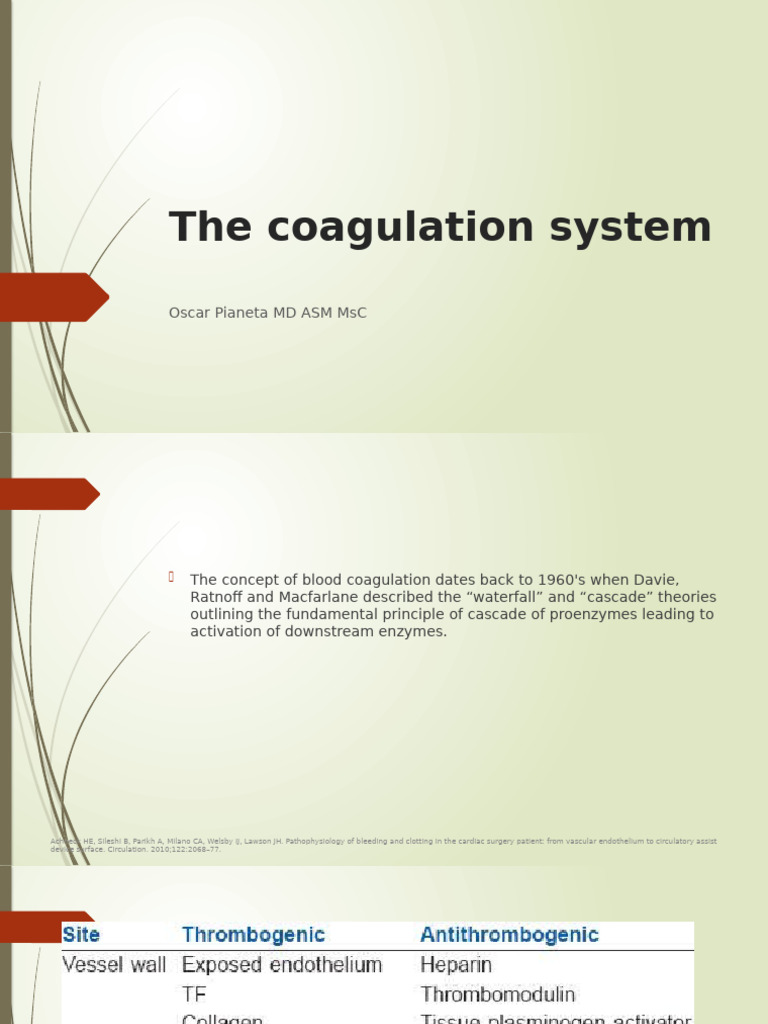 The Coagulation System | PDF