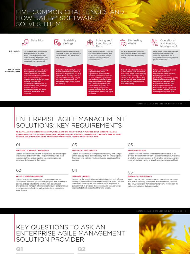 Agile Buyer's Guide | PDF
