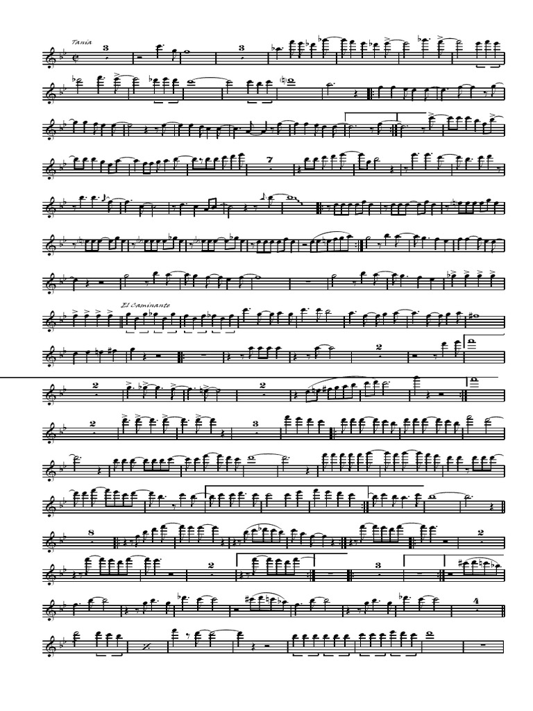 Homenaje Al JOE - Piccolo | PDF