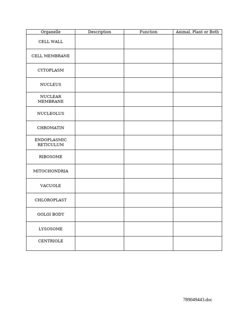 Assignment 2 - 2023 | PDF