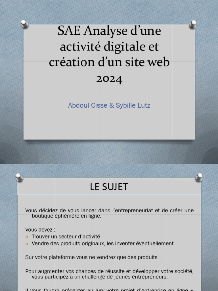 SAE S4 2023 1.5 - Création Dune Plateforme Et Dun Site Wordpress Phase ...