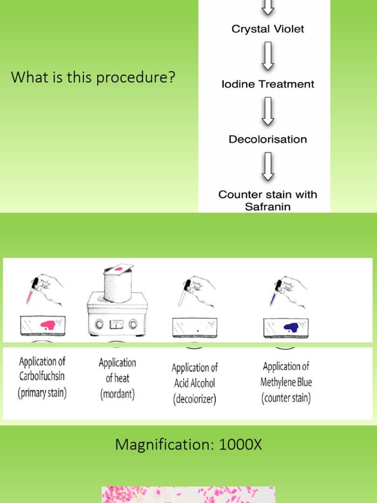 Revision Practical Micro (NGMC External) | PDF