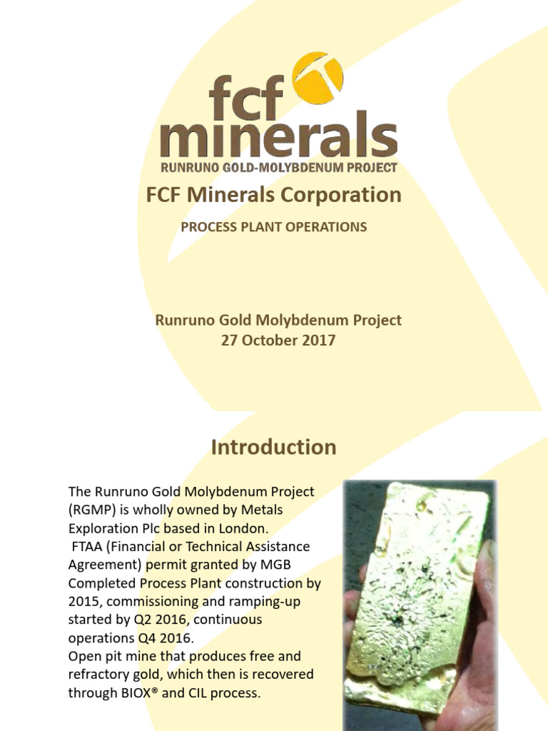 M Savella FCF Minerals - Process Plant | PDF