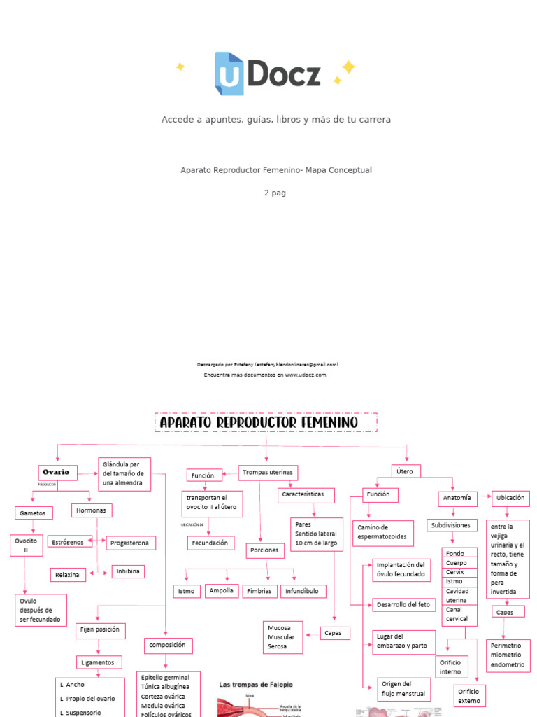 Aparato Reproductor 303042 Downloadable 6678994 | PDF