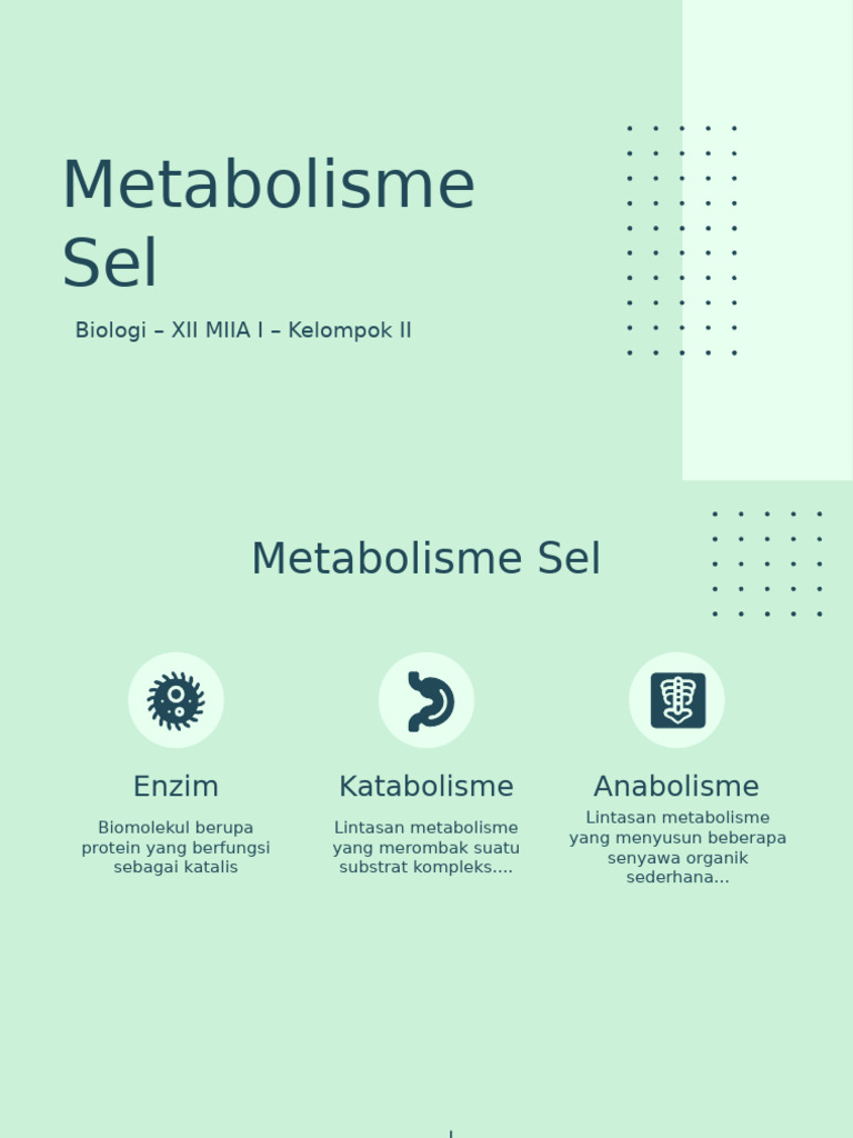 Metabolisme Sel Dongg | PDF