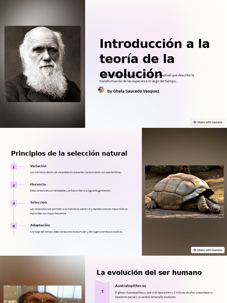 Introduccion A La Teoria de La Evolucion | PDF