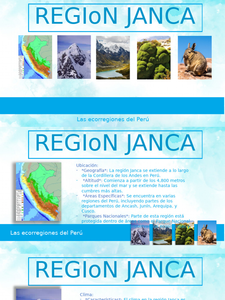 Región Janca | PDF