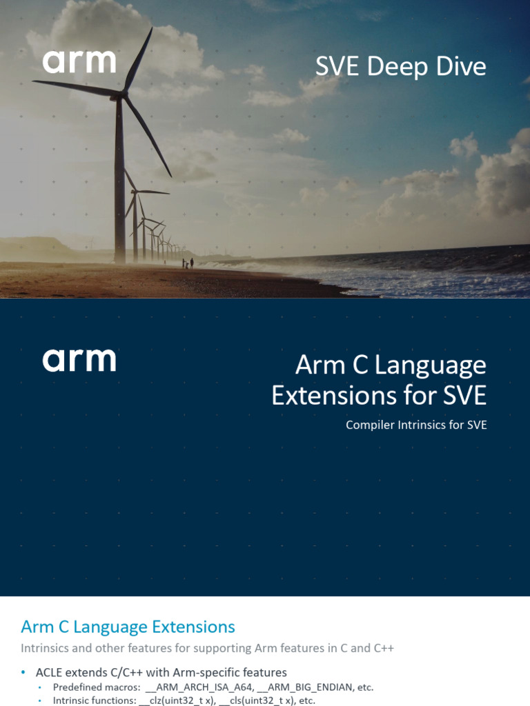 5 - Advanced SVE | PDF
