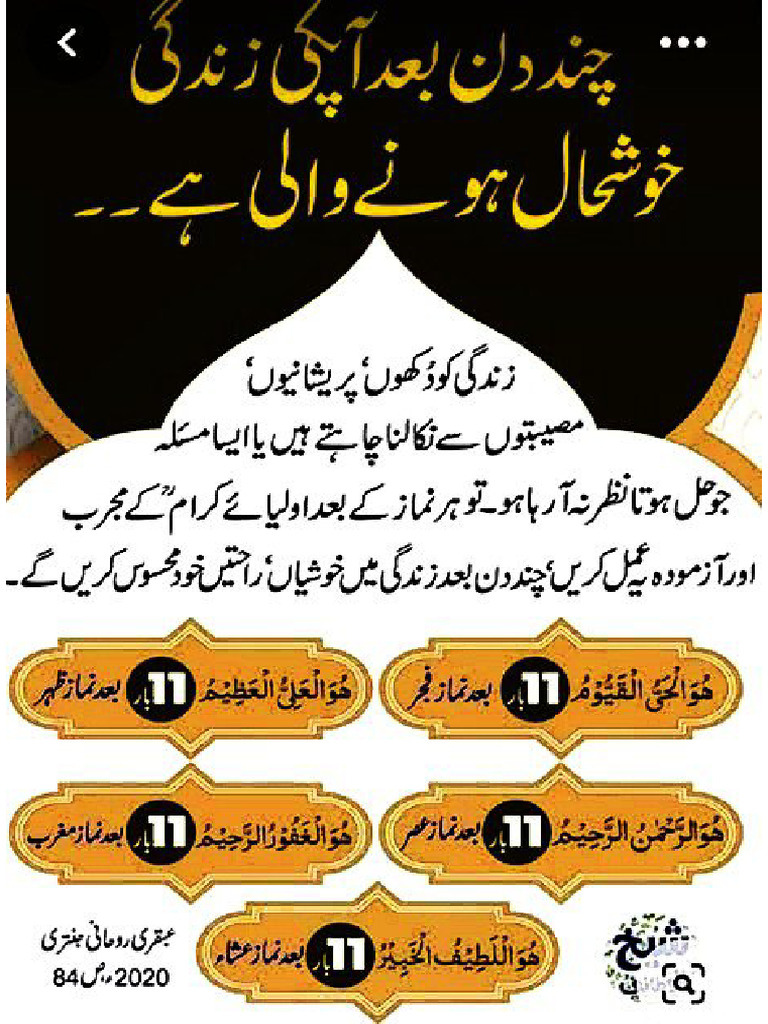 Raaz E Tibb Hai Vol4 Book PDF | PDF