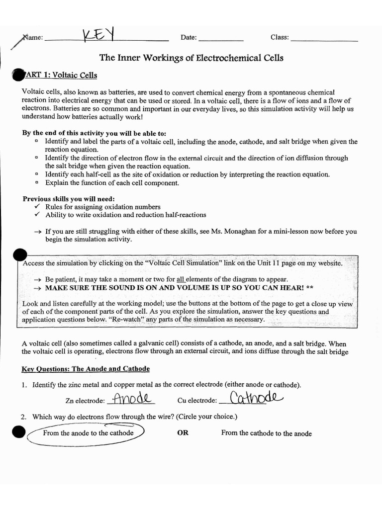Electrochemical Cells Simulation Activity - Key | PDF