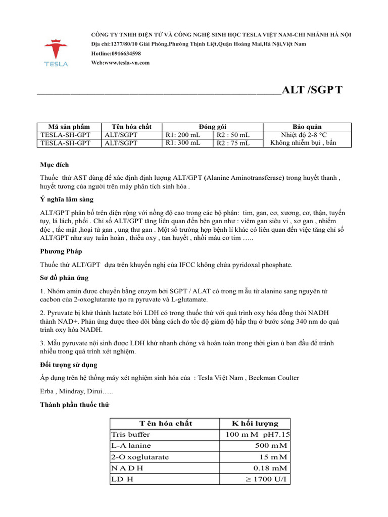 HDSD GPT A4 New | PDF