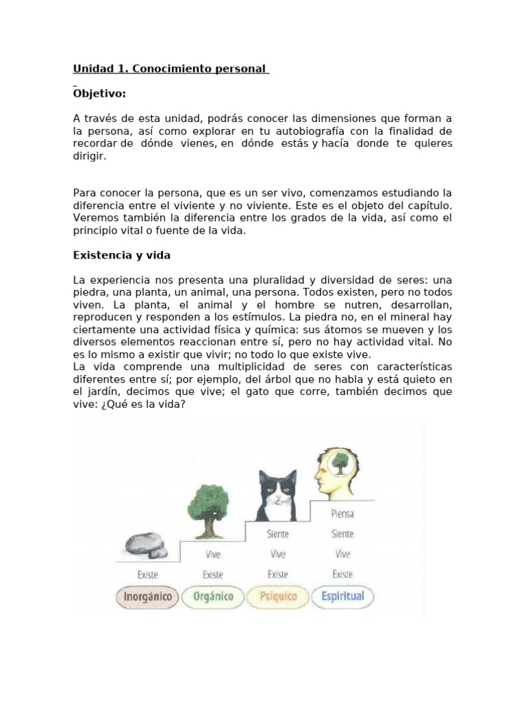 Conocimiento personal | PDF