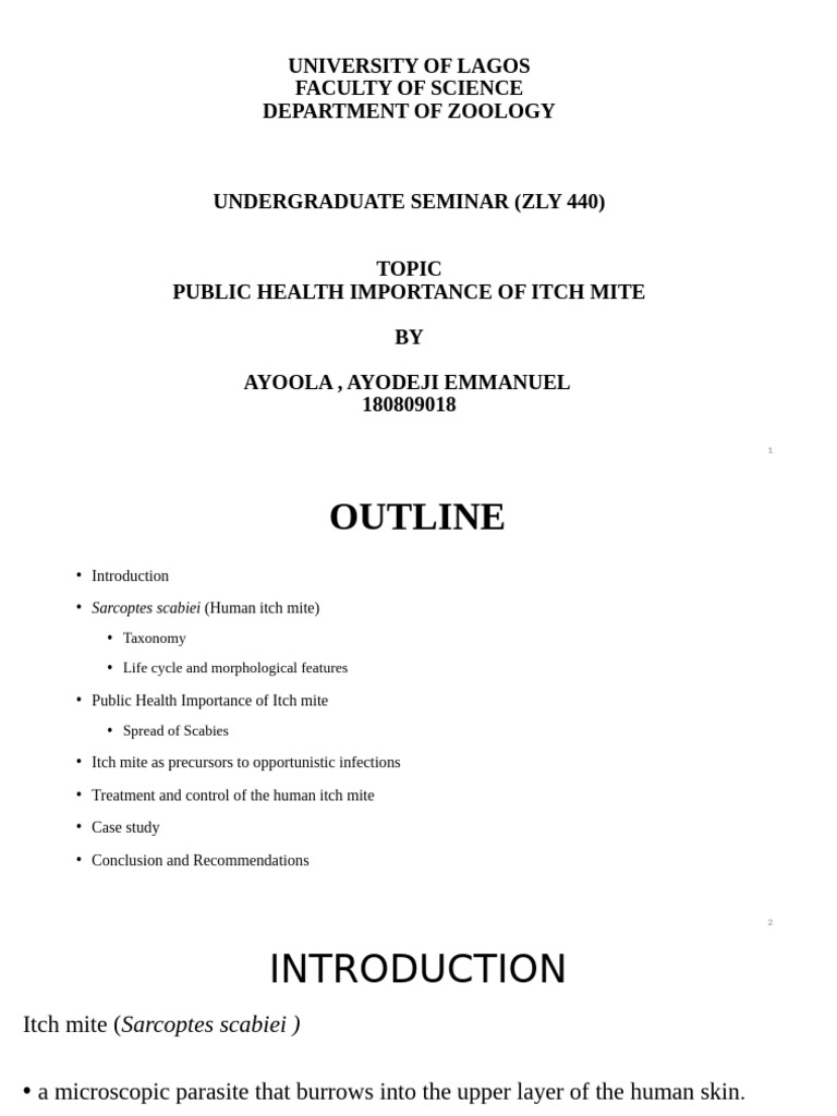 Ayodeji Powerpoint Updated | PDF