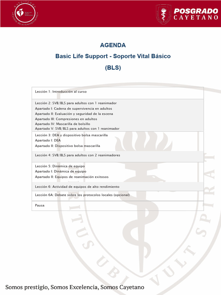 BLS Aha | PDF