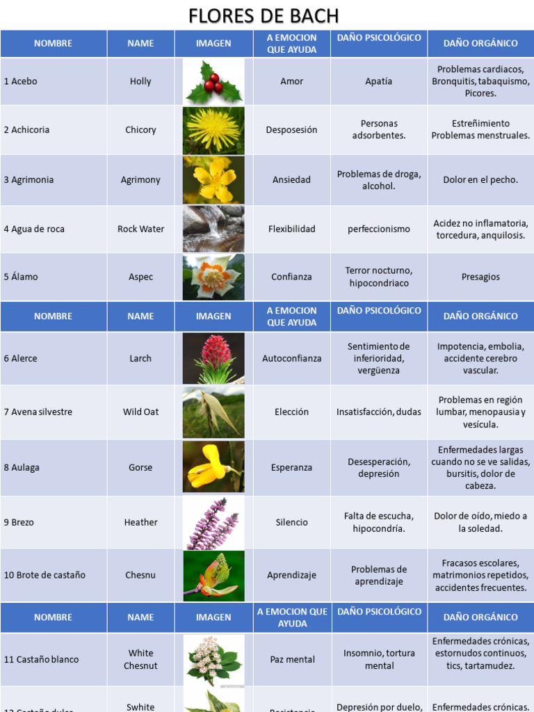 Flores de Bach | PDF