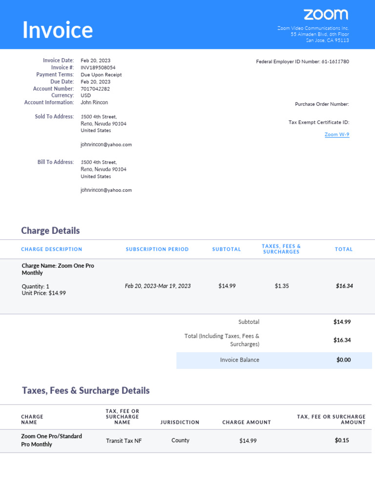 Zoom Invoice Template Video Chat | PDF