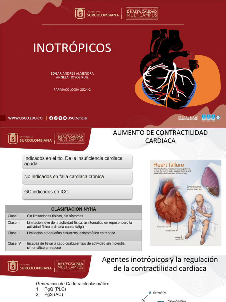 Seminario Inotrópicos | PDF