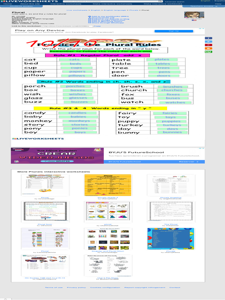 Plural Exercise | PDF