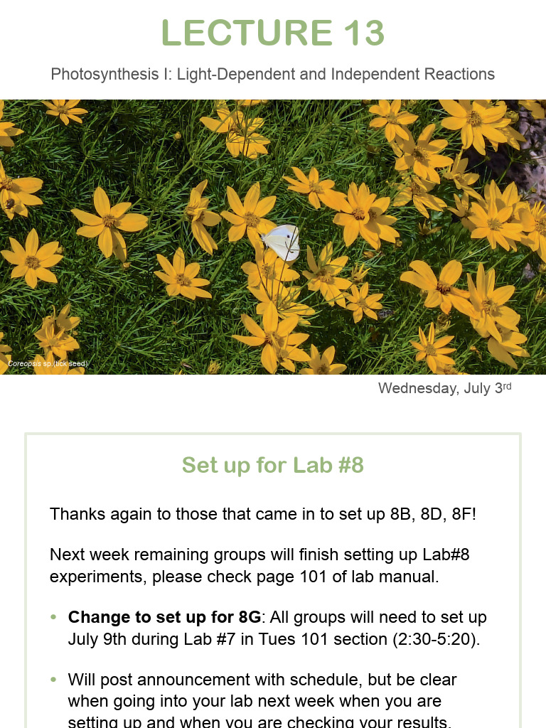 BIOL 220 S2024 Lecture 13 Photosynthesis I | PDF