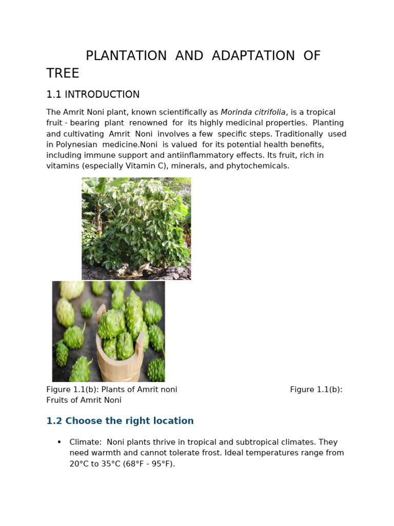 Plantation and Adaptation of A Tree | PDF