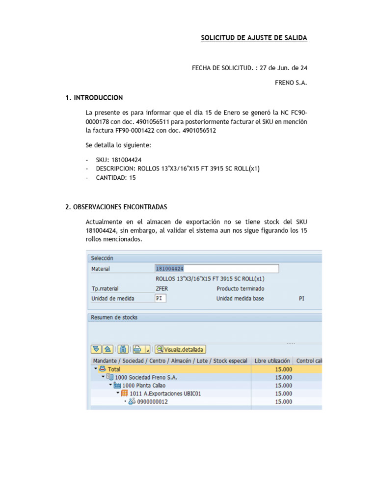 Informe Solicitud Ajuste Stock | PDF