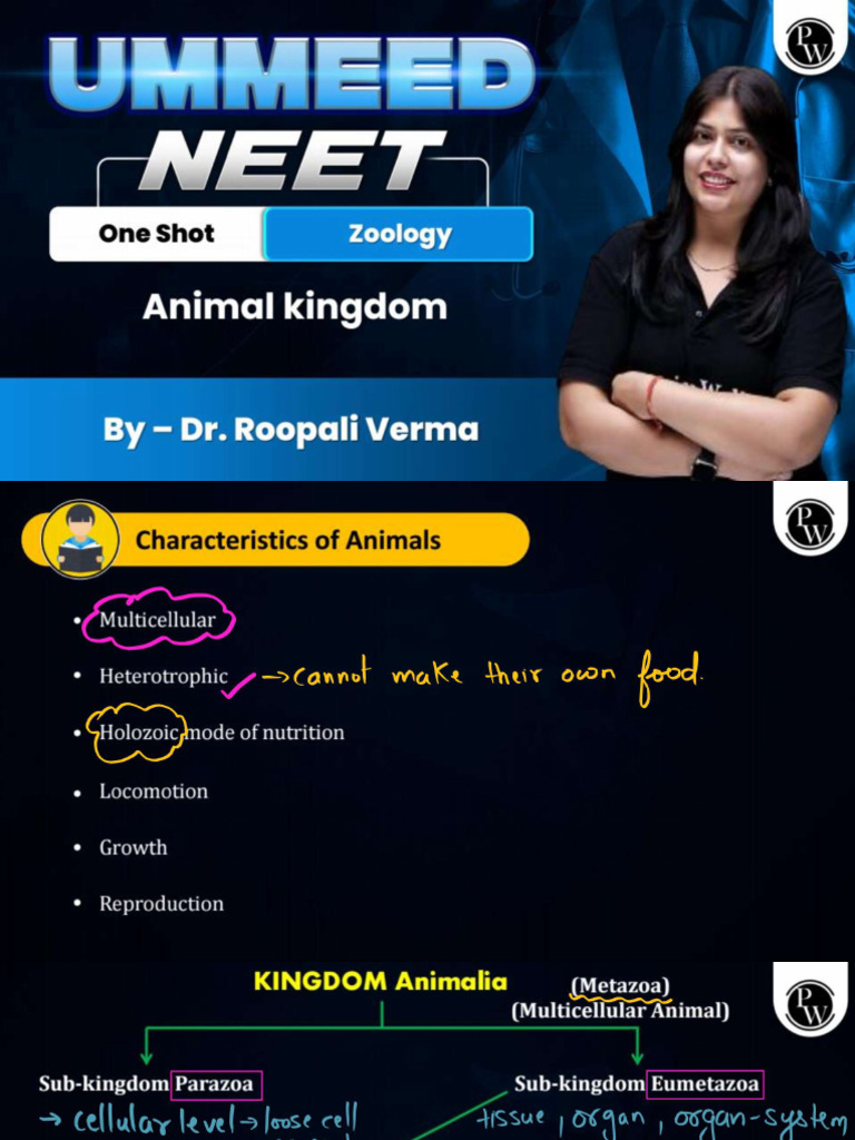 Animal Kingdom - Class Notes | PDF