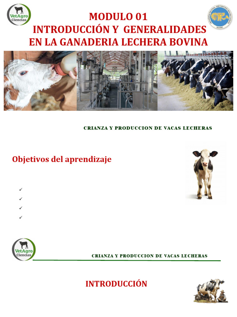 Módulo 1. Introducción y Generalidades en La Ganadería Lechera Bovina. | PDF