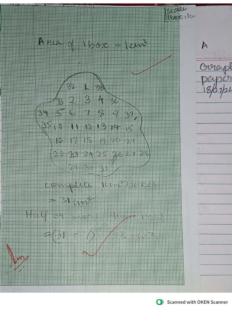 Graph Paper | PDF