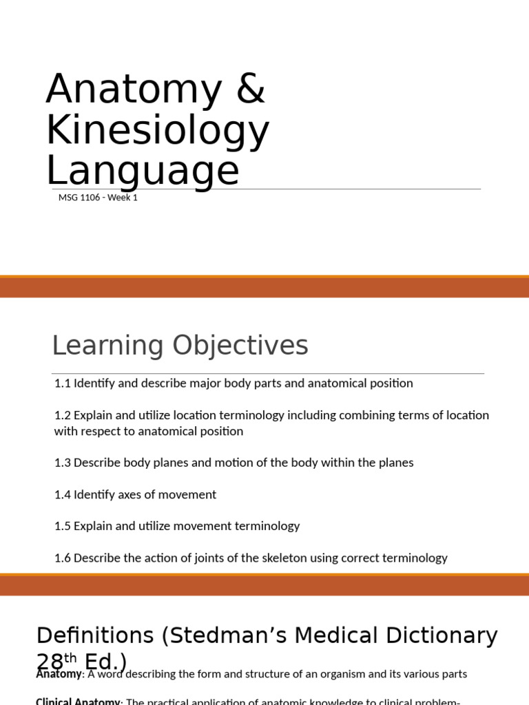 MSG1106 - Anatomy and Physiology Language Lab 1 | PDF | Anatomical ...