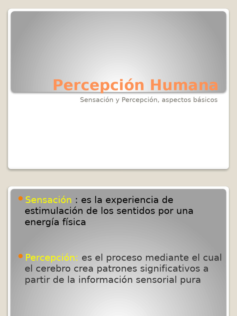Sensación y Percepción | PDF