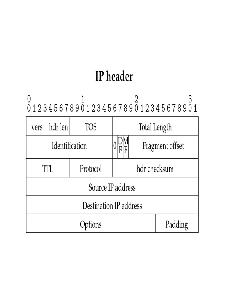 IP Header | PDF