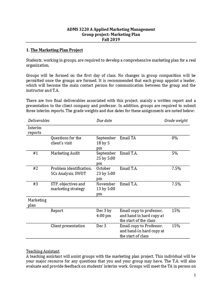 York University Marketing Plan Project - ADMS 3220 Fall 2019 | PDF | Marketing | Marketing Strategy