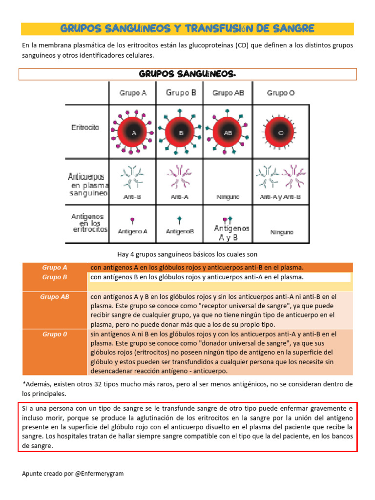 Grupos sanguíneos y transfusión de sangre | PDF
