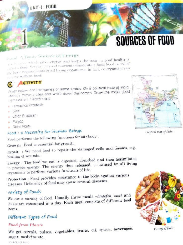 Sources of Food: Beings Our Body A | PDF
