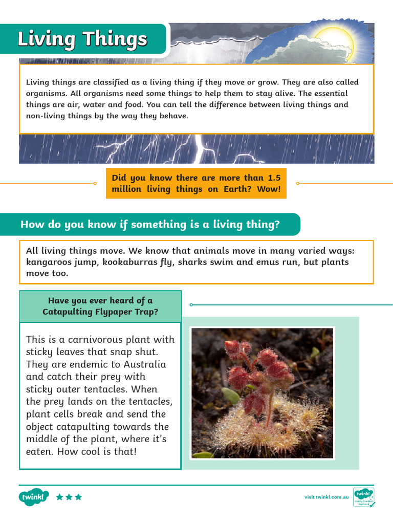 Understanding Living Things | PDF | Plants | Wellness