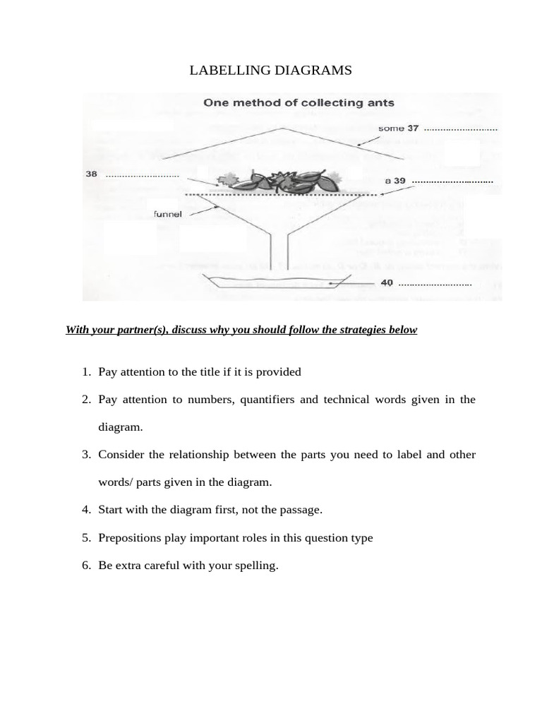 Labelling Diagrams Ss | PDF