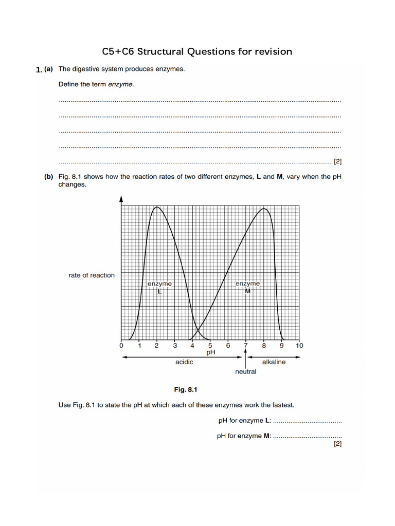 C5 - C6 Structural Questions | PDF